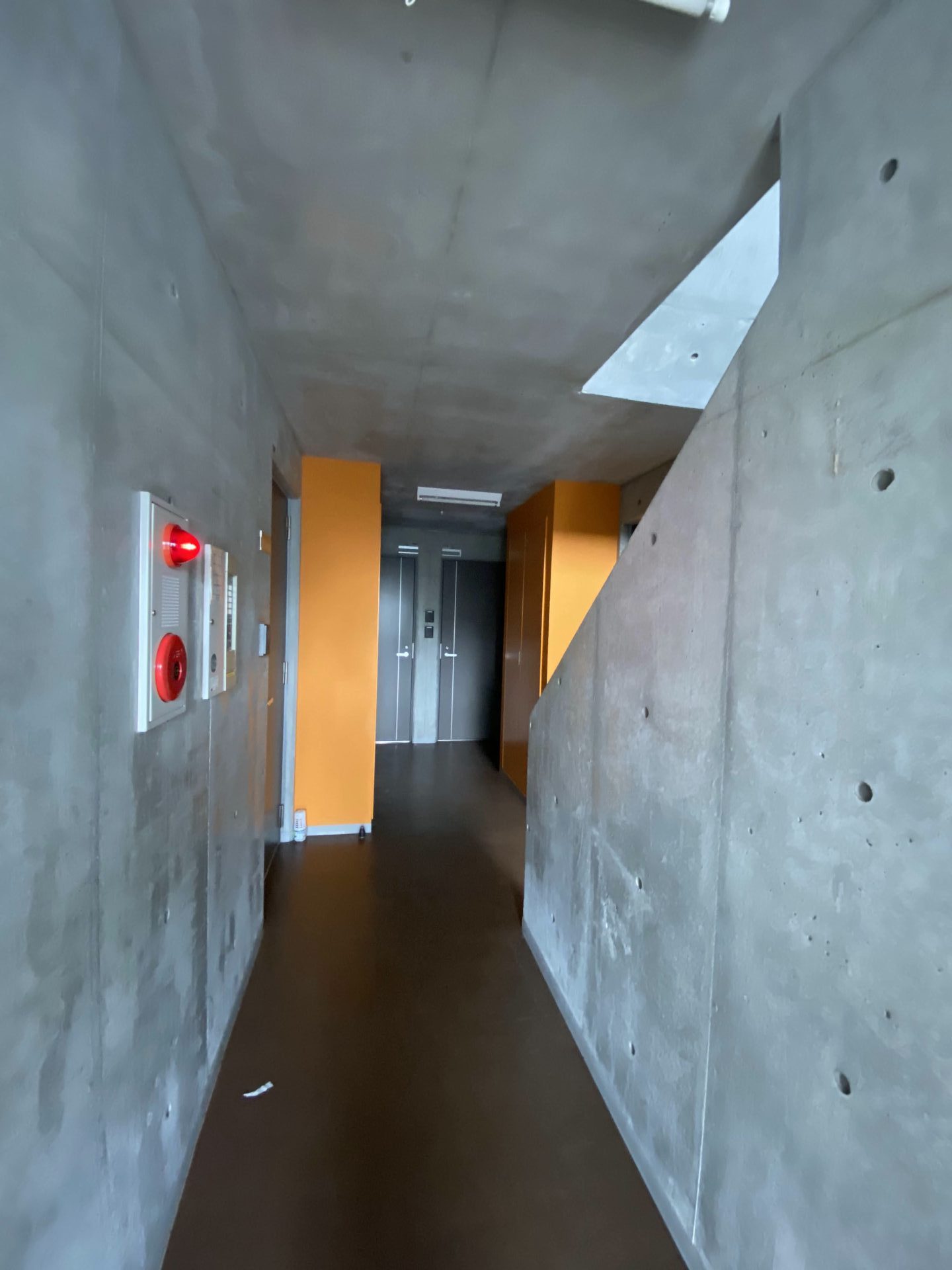 フェリーチェN36｜【当社管理物件】ペットと暮らせる2LDK🐶🐱 - 札幌の賃貸情報メディア イエッタ ietta - イエッタ