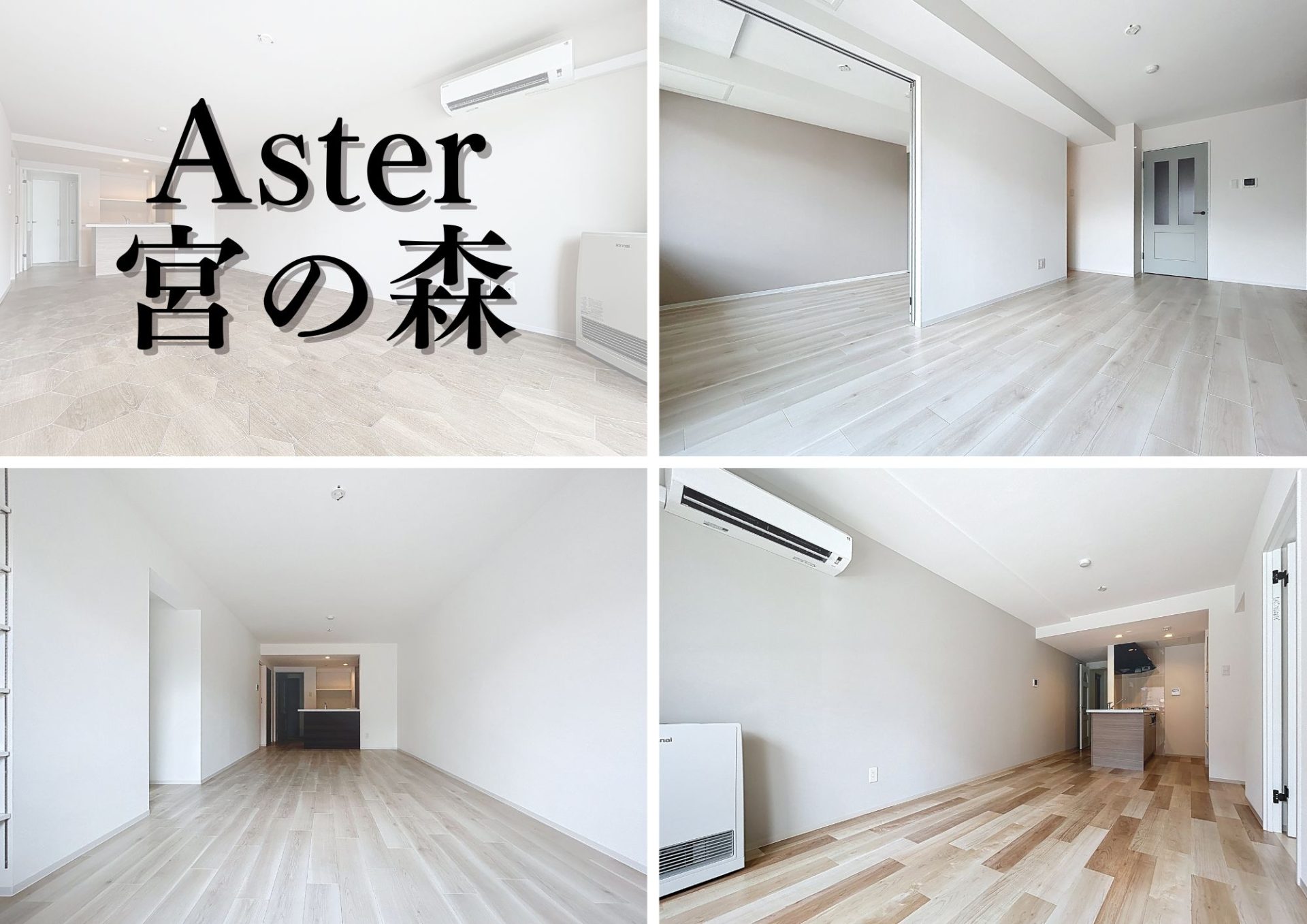 Aster宮の森／中央区 人気の都市ガス×デザイナーズ物件 - 札幌の賃貸情報メディア イエッタ ietta - イエッタ